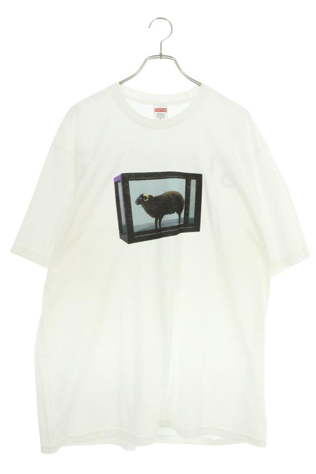 シュプリーム サイズ:XL  25SS  Damien Hirst Tee ダミアン・ハーストフォトプリントTシャツ 中古 FK04