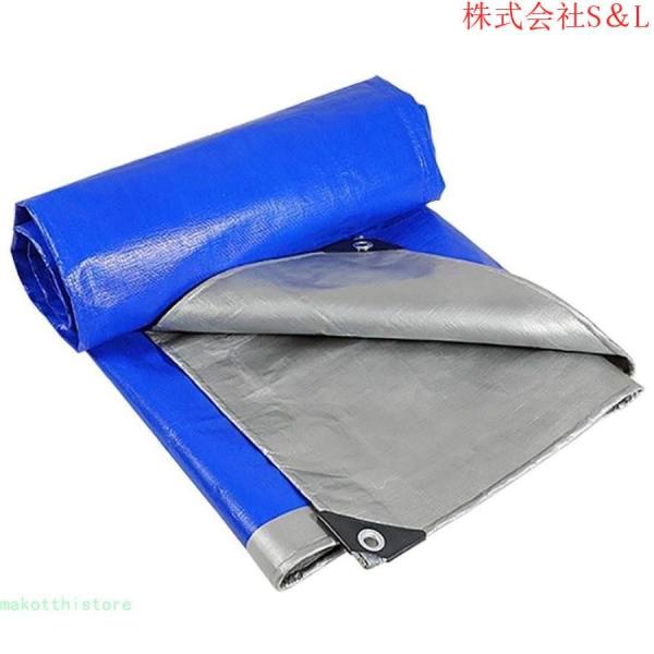 頑丈なタープを厚く、強化アイレット付きPEプラスチク防水ターポリンS＆L 屋外パティオパーゴラの犬小屋の天蓋用ブルーシルバーシート (Size : 3m x 20m)