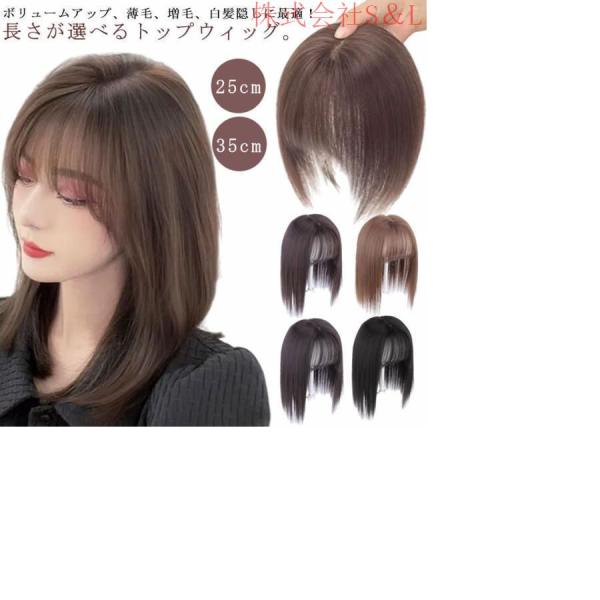 ウィッグ 部分ウィッグ 部分かつら かつら ウイッグ トップカバー ヘアピース ピース  株式会社S＆Lトップ カバー ウイッグ 白髪かくし簡単装着 通気性