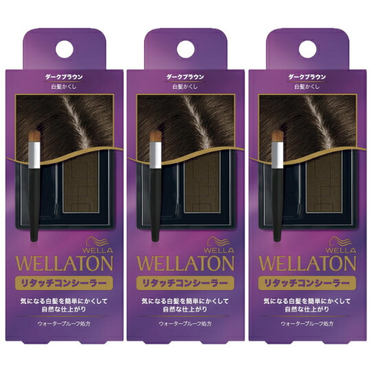 【まとめ買い3個セット】ウエラトーン リタッチコンシーラー ダークブラウン (白髪かくし) 東京南倉庫