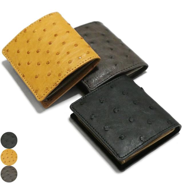 小銭入れ ケース 本革 メンズ レディース 出しやすい ボックス型 コンパクト  / オーストリッチ オースト ダチョウ革 駝鳥革 マット / スナップボタン 財布 就職 内定 祝い 誕生日 プレゼント ランキング かわいい おしゃれ ラッピング可 父の日