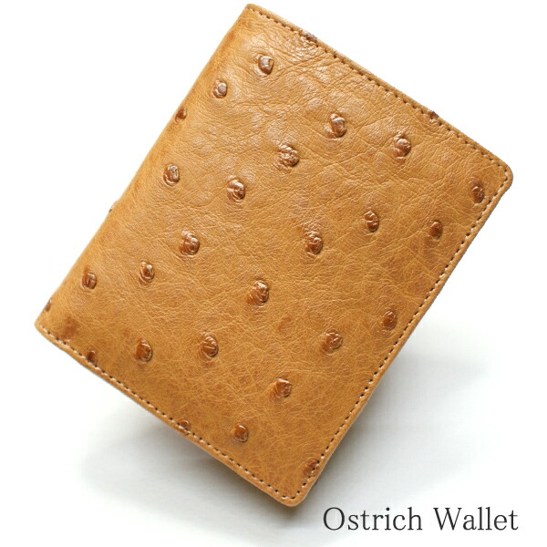 オーストリッチ革 財布 駝鳥革 オースト レザー 本革 財布 二つ折り財布 折り財布 レディース財布 メンズ財布 ボックス型小銭入れ付 送料無料 キャメル