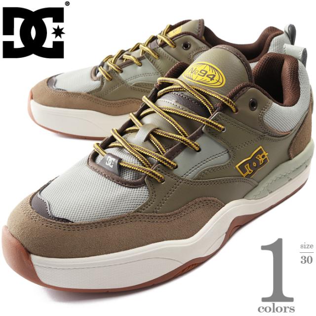 大きいサイズ メンズ DC SHOES ディーシーシューズ スニーカー シューズ ASCEND LE dm251007