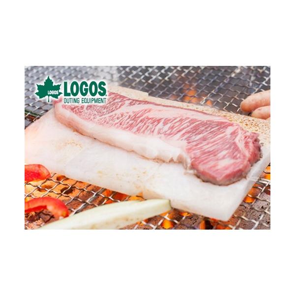 在庫有 木村さ〜〜ん！で紹介 LOGOS ロゴス 岩塩 プレート 81065990