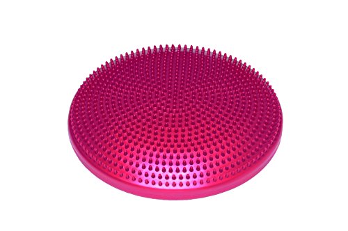 TOEI LIGHT(トーエイライト) バランスクッション705 赤 H7360R(未使用の新古品)