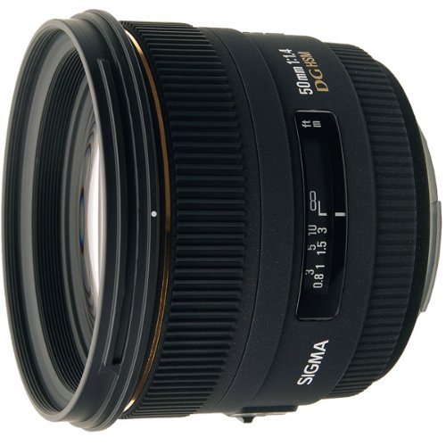 SIGMA 単焦点標準レンズ 50mm F1.4 EX DG HSM ニコン用 フルサイズ対応 310(中古品)