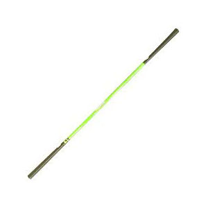 エリートグリップ スイング専用トレーニング器具（DVD付）ワンスピード（グリーン） ONESPEED GRN返品種別A