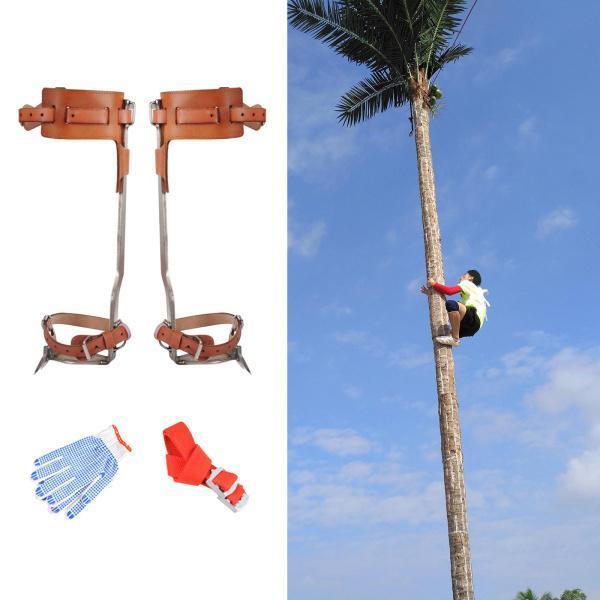 キャンプ用アクセサリー用安全ベルト付き1/2ギアツリークライミングスパイクセットフルレザー2ギア