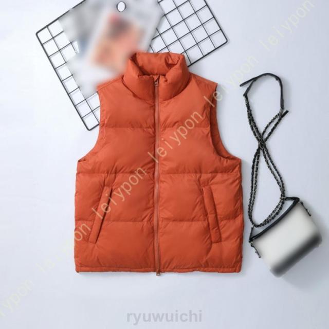 レディース ベスト ダウン あったか 軽量 ダウンベスト ショートベスト ノースリーブ 無地 通勤 通学 おしゃれ 上品 防寒 着痩せ 細見え 通勤