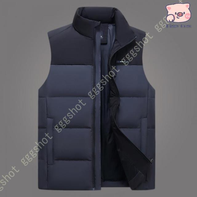春秋冬 中綿ベスト ダウンコットン ベスト メンズ ジャケット 袖なし チョッキ 重ね着 冬物 厚手 防風 保温 防寒 あったかい 立ち襟 ショート カジュアル 軽量