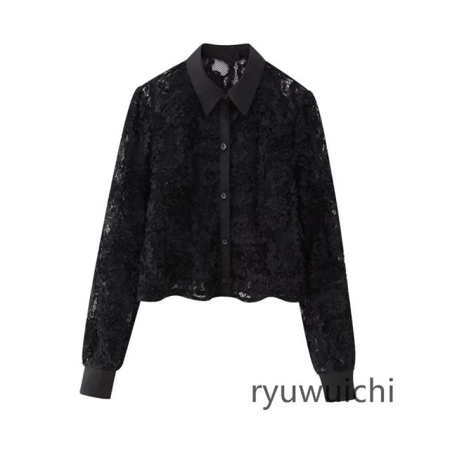 ブラウス トップス 長袖 ピーターパンカラー レース 透け感 エレガント 上品 パーティー 結婚式 グリーン ブラック シンプル 女子会 美人 ミセス