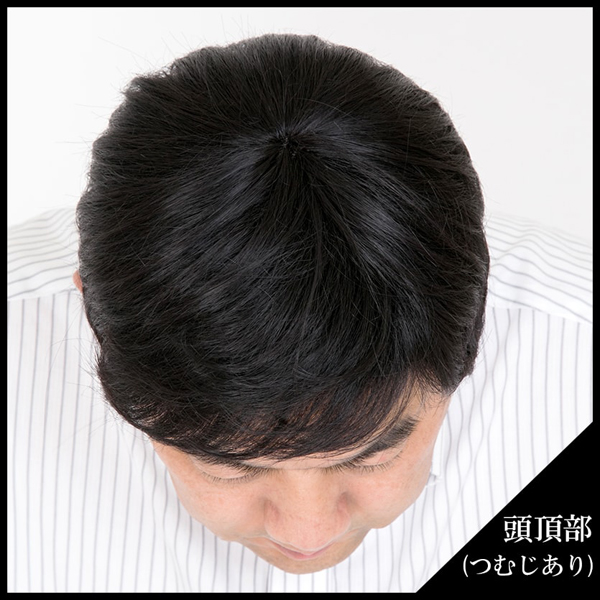 送料無料E.G.Oリアルファイバーウィッグ/メンズオールウィッグ「つむじ