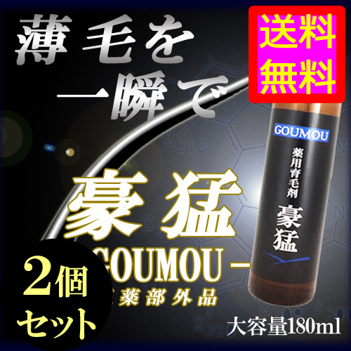 ●送料無料☆発毛・育毛法を根本から覆す頭髪ローション【豪猛(ごうもう) 医薬部外品 ２個セット】育毛剤/materi66P6