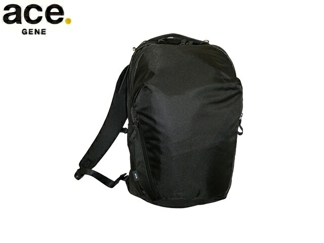 ace.GENE ACE.GENE エース acegene エースジーン ラグマスター リュック バックパック A4ファイル 14.0インチPC対応 67811 ace63