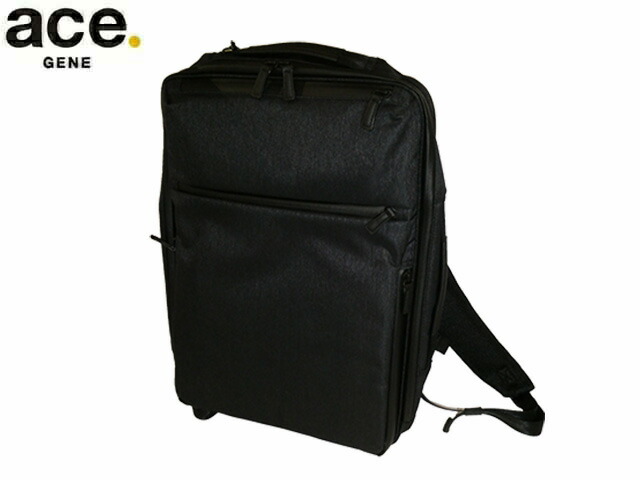 ace. GENE ace.GENE ACE.GENE acegene エース ジーン エースジーン ガジェタブル ヘザー2 68294 エキスパンダブル リュック 19-23リットル ace63
