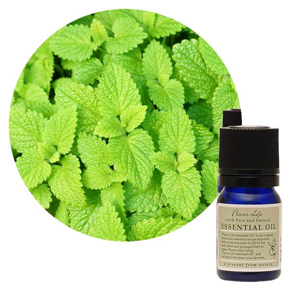 フレーバーライフ社 FL 精油 メリッサ レモンバーム 3ml - フレーバーライフ社