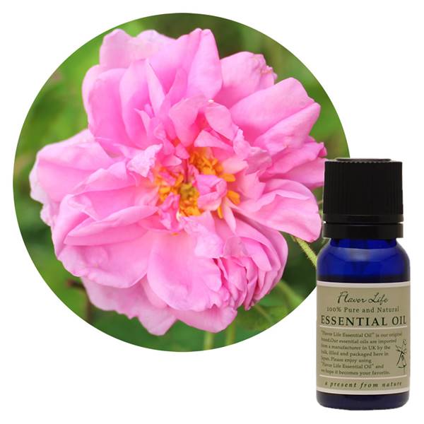 フレーバーライフ社 FL 精油 ローズabs 10ml - フレーバーライフ社