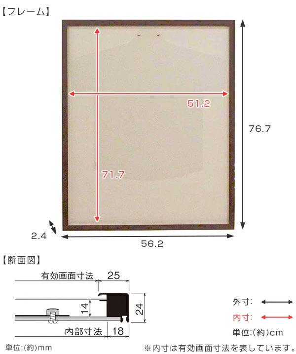 ユニフォーム 収納 ユニフォーム額 L205 MSサイズ （ 額 ディスプレイ