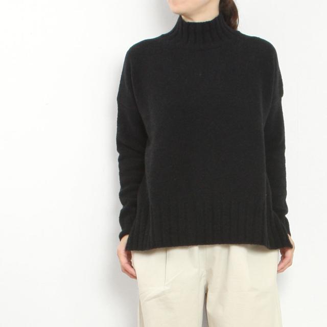 evam eva エヴァムエヴァ renew-wool turtleneck E253K104