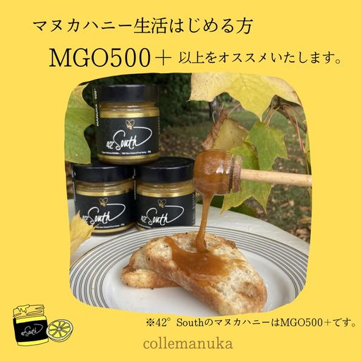 オーガニックマヌカハニー、 MGO500+、100%ニュージーランド産 (250G瓶)、42°SOUTH、生はちみつ