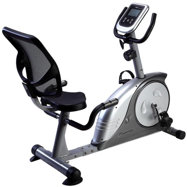 ダイコー(DAIKOU) フィットネスバイク マグネット式 手動8段階負荷 リカンベントバイク 家庭用 DK-8604R  ブラック