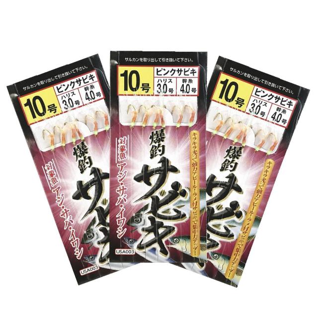 ライズウェイ(Riseway) 仕掛け 爆釣サビキ ピンクサビキ 3枚組 USA-003 10号の通販はau PAY マーケット - Day One STORE | au PAY マーケット ...