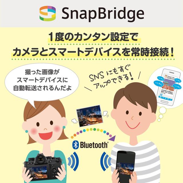 Nikon ミラーレス一眼カメラ Z fc レンズキット NIKKOR Z DX 16-50mm f/3.5-6.3 VR シルバー 付属 ZfcLK16-50SL