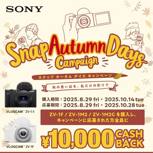 SONY(ソニー) コンパクトデジタルカメラ VLOGCAM Vlog用カメラ ZV-1II ボディ ウィンドスクリ ーン付属 18-50mm F1.8-4.0 ズームレンズ ホ