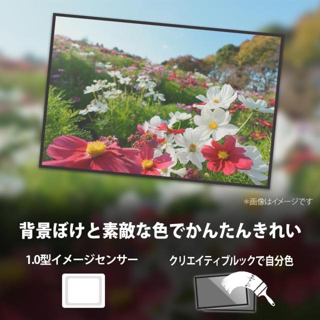SONY(ソニー) コンパクトデジタルカメラ VLOGCAM Vlog用カメラ ZV-1II ボディ ウィンドスクリ ーン付属 18-50mm F1.8-4.0 ズームレンズ ホ