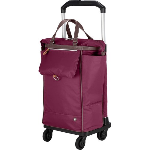 ソエルテ スーツケース キャリーケース キャリーカート o.35981 21L 2.1？ キャスターストッパー付