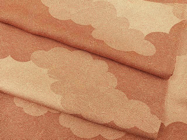 平和屋着物▽江戸小紋　単衣　青海波　瑞雲　正絹　逸品　BAAT1144hv