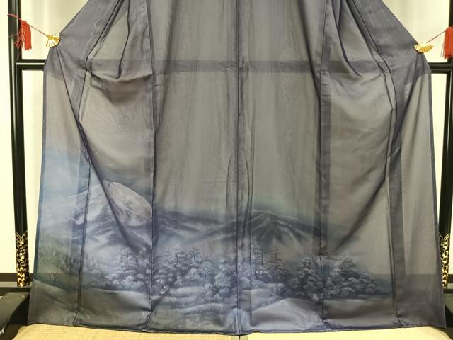 平和屋着物▽訪問着 無双 紗袷 紗×紗 手描き 風景樹林文