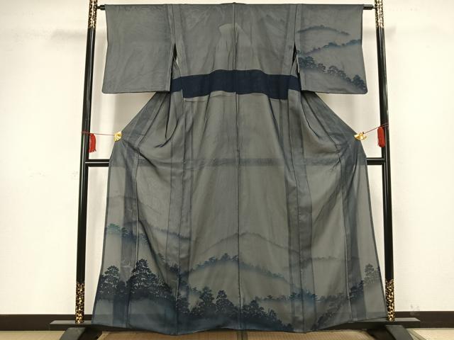 平和屋着物▽訪問着　無双　紗袷　紗×絽　風景舞鳥文　正絹　逸品　AAAV8400fy