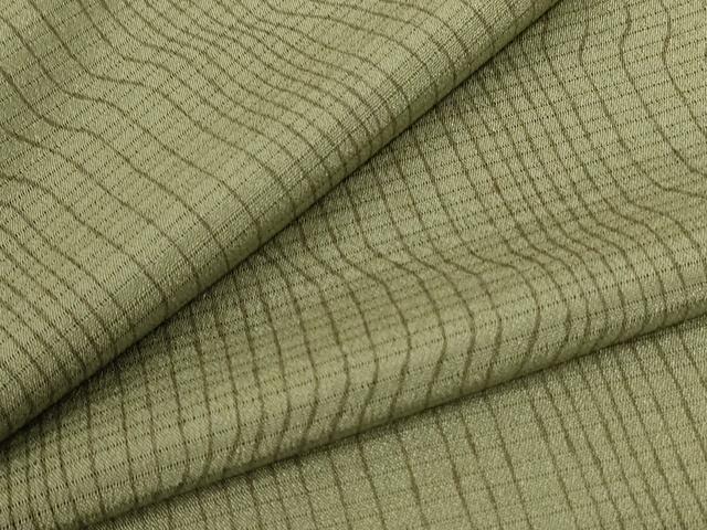 平和屋着物＊夏物　小紋　絽縮緬　変わり縞　正絹　逸品　AABB6753jd