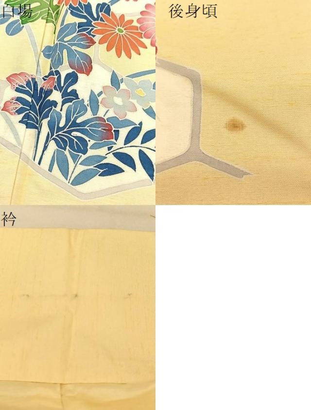 平和屋着物○訪問着 友禅 紬地 亀甲秋草文 正絹 逸品 BAAT0950yc