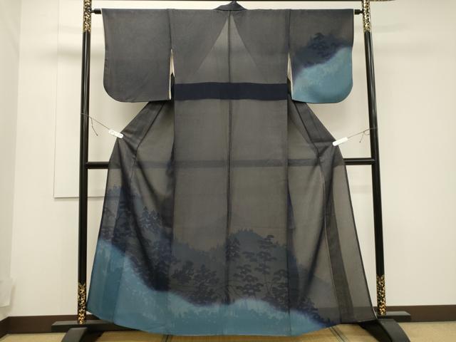 平和屋着物▽訪問着　無双　紗袷　紋紗×紗　風景文　正絹　逸品　CAAT9526dy