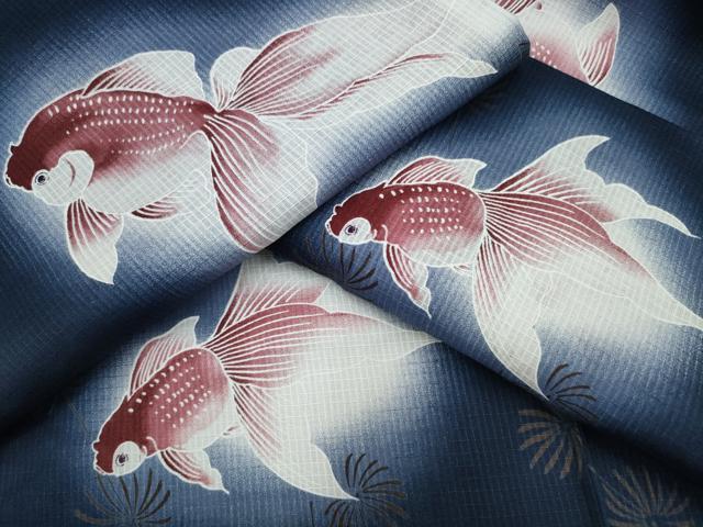 平和屋着物∴夏物　浴衣　綿紅梅　金魚　暈し染め　綿　逸品　未使用　CAAW0951ng