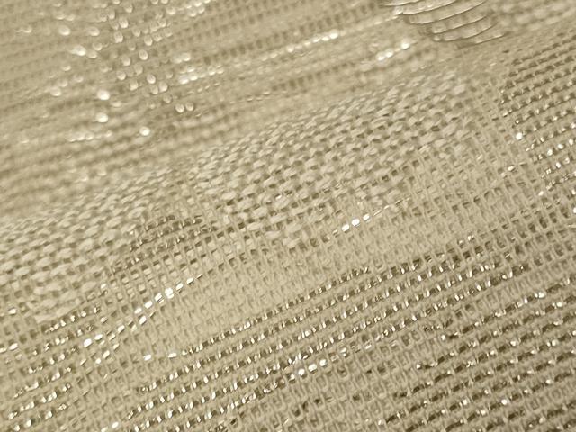 平和屋着物＊夏物 六通柄 京袋帯 草花文 銀糸 正絹 逸品 CAAW8959oy