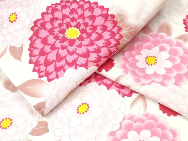 平和屋着物∴夏物　浴衣　綿紅梅　菊文　綿　逸品　CAAY4459ng