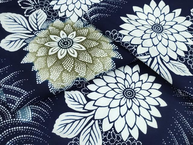 平和屋着物∴夏物　浴衣　流水菊文　綿　逸品　CAAY4600ng