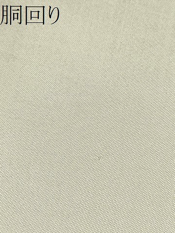 平和屋着物○太鼓柄袋帯 紬地 すくい織 枝花文 金糸 正絹