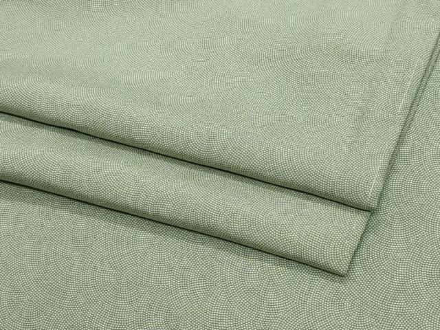 平和屋着物●江戸小紋　鮫小紋柄　正絹　逸品　CAAZ1089vf