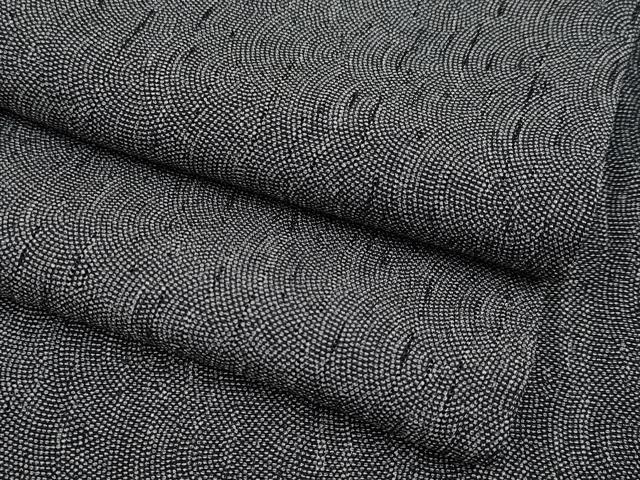 平和屋着物■極上　夏物　江戸小紋　変わり縦絽　鮫小紋柄　黒地　逸品　CYAA3236s5