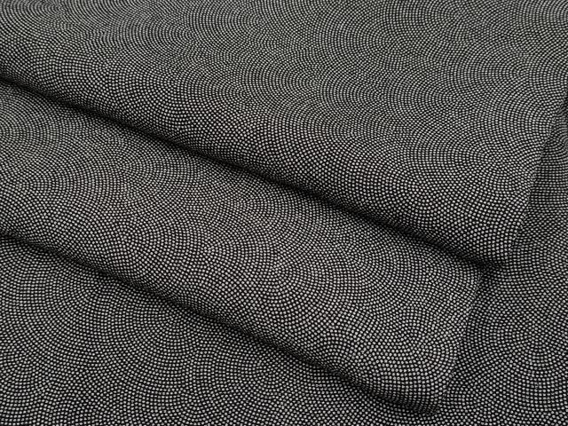 平和屋着物■極上　江戸小紋　鮫小紋柄　黒地　ますいわ屋扱い　逸品　CYAA3244s5