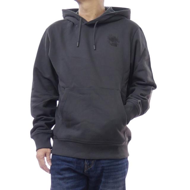 THE NORTH FACE ノースフェイス メンズプルオーバーパーカー NF0A8E4G