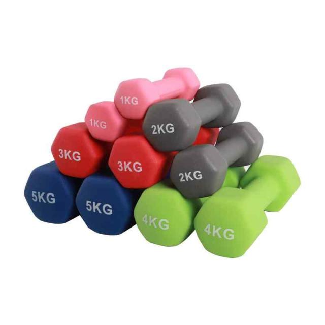 STARWISH ダンベル【2個セット1kg 2kg 3kg 4kg 5kg】【 選べる5色】 ダイエット 鉄アレイ 筋トレ ソフトコーティング フィットネス 握りの通販はau PAY ...
