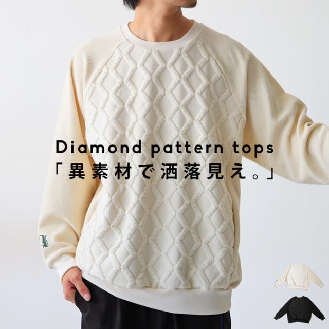 再入荷予定有!ANTIQUA GOLF×STCH トップス メンズ 送料無料・メール便不可