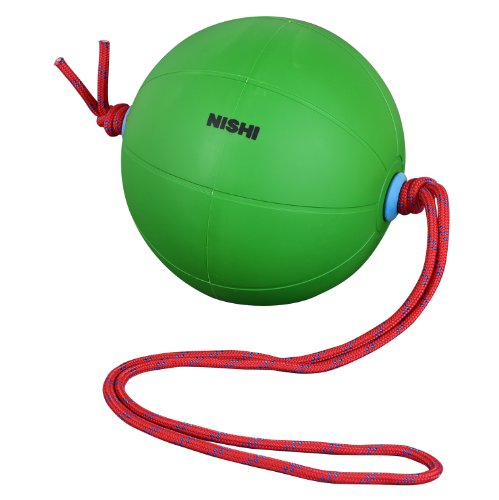 NISHIニシスポーツ スウィングメディシンボール 4kg T5914