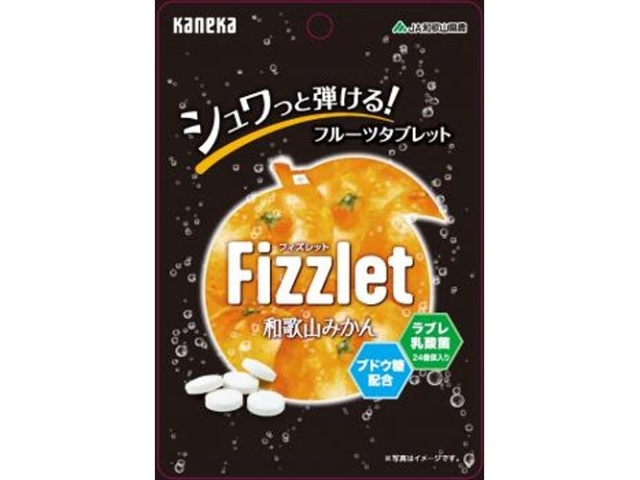 カネカ Ｆｉｚｚｌｅｔ 和歌山みかん２４ｇ ×100 【全国送料無料】(沖縄・離島は別途)