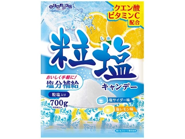 扇雀飴 粒塩キャンデー７００ｇ ×10 【全国送料無料】(沖縄・離島は別途)